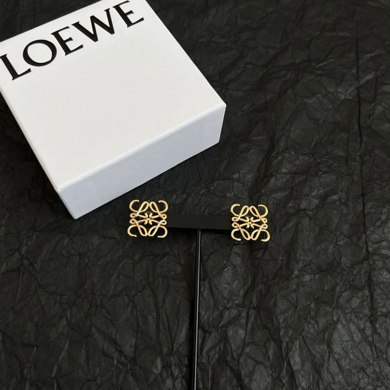 Budget-friendly Loewe Earrings