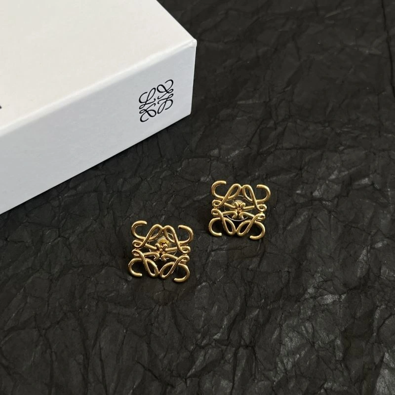 Budget-friendly Loewe Earrings