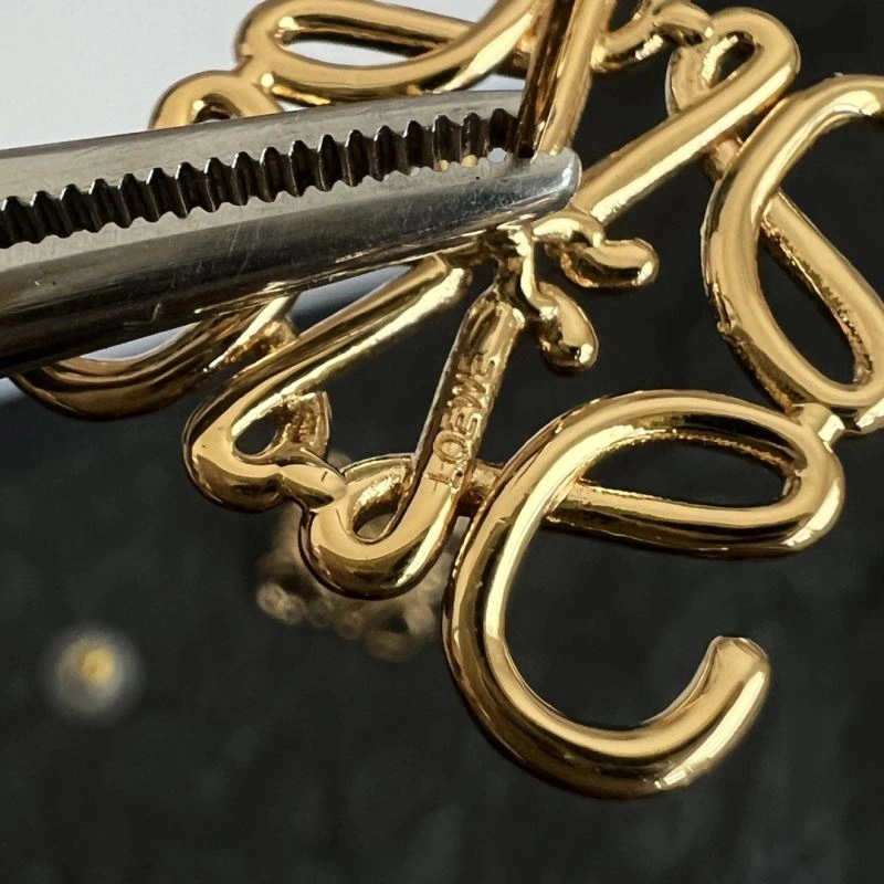 Budget-friendly Loewe Earrings