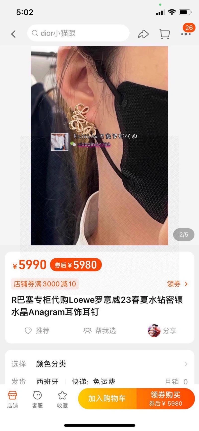 Budget-friendly Loewe Earrings
