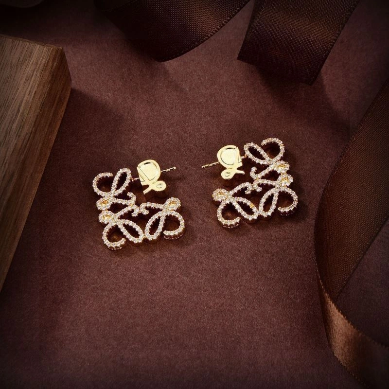 Budget-friendly Loewe Earrings
