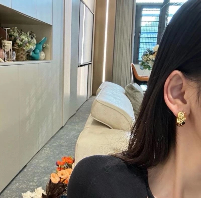 Economical Loewe Earrings