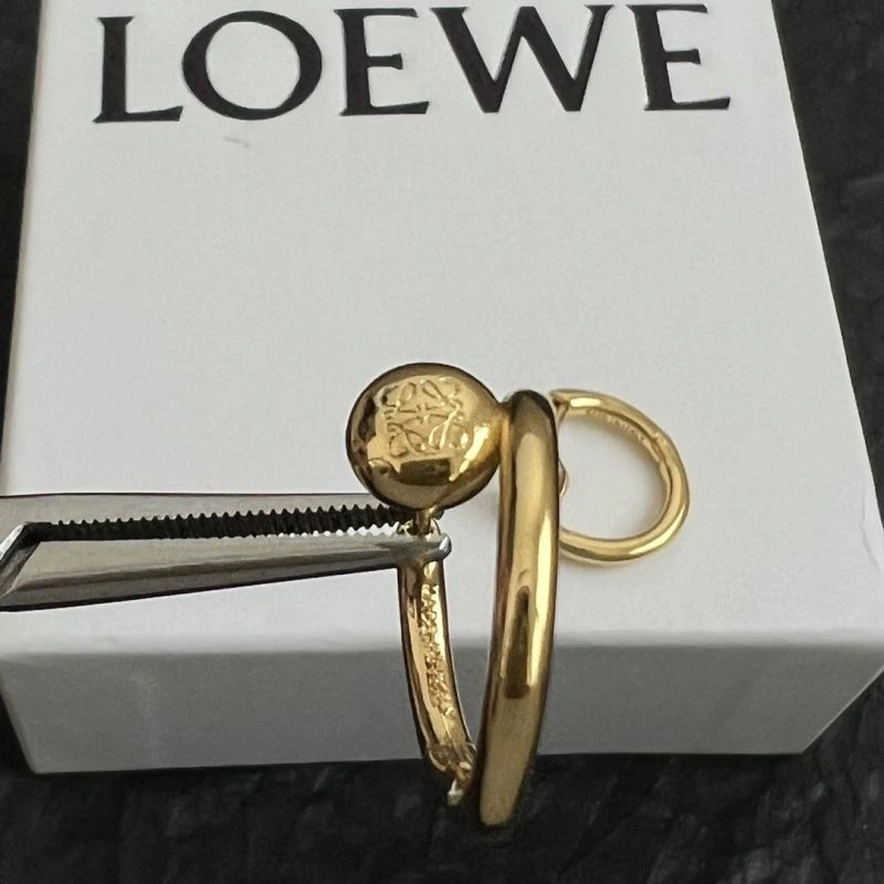 Economical Loewe Earrings