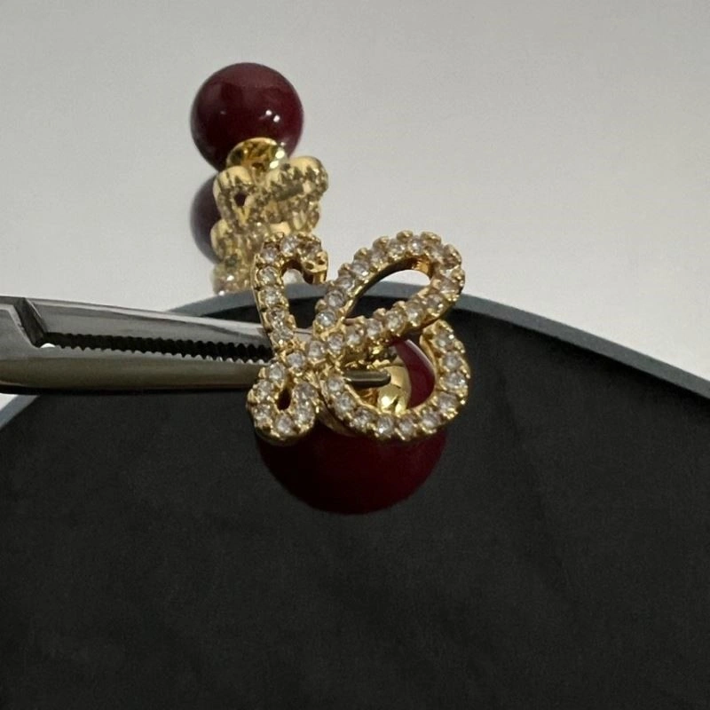 Indistinguishable Loewe Earrings