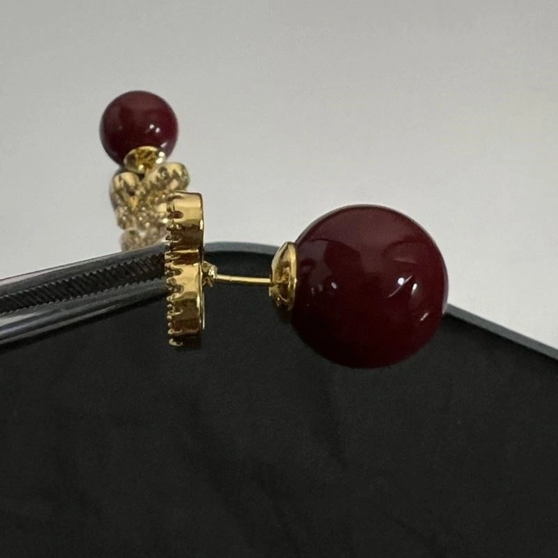 Indistinguishable Loewe Earrings