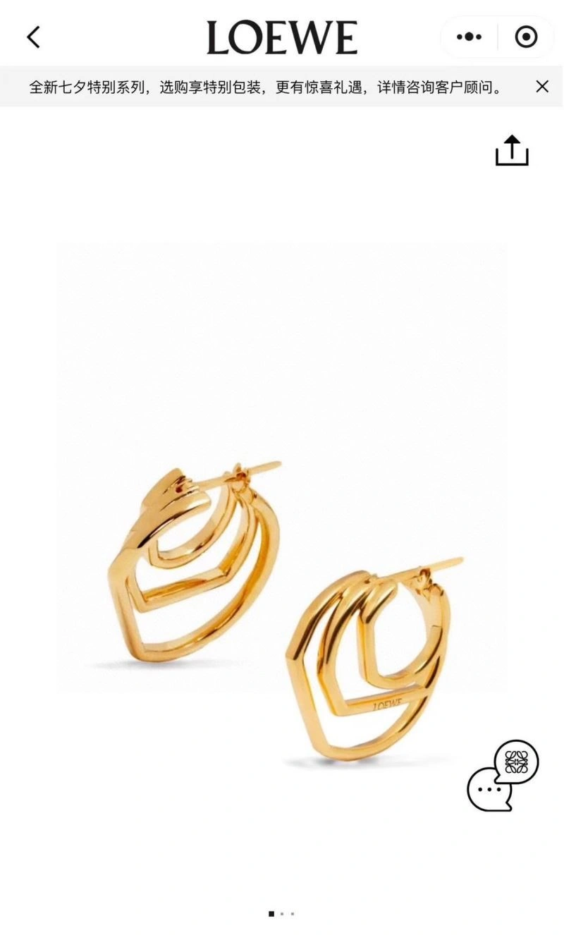 Top mirror Loewe Earrings