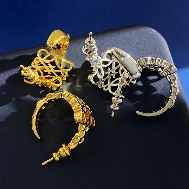 Value-priced Loewe Earrings
