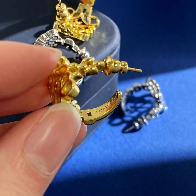 Value-priced Loewe Earrings