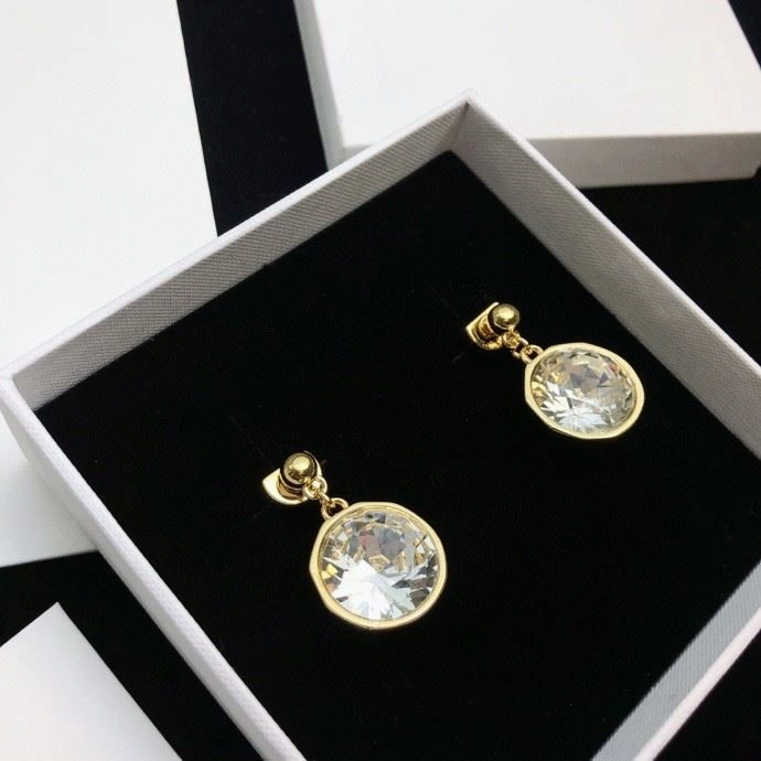 Cut-rate Loewe Earrings