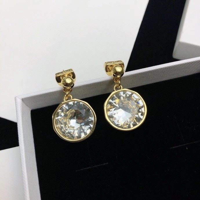 Cut-rate Loewe Earrings