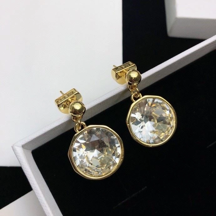 Cut-rate Loewe Earrings