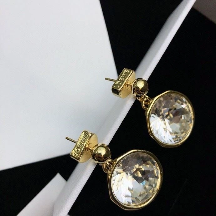 Cut-rate Loewe Earrings