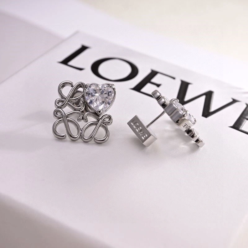 Value-priced Loewe Earrings