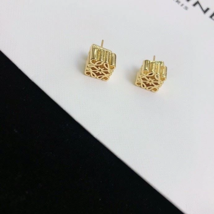 Official Loewe Earrings