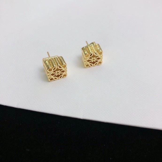 Official Loewe Earrings