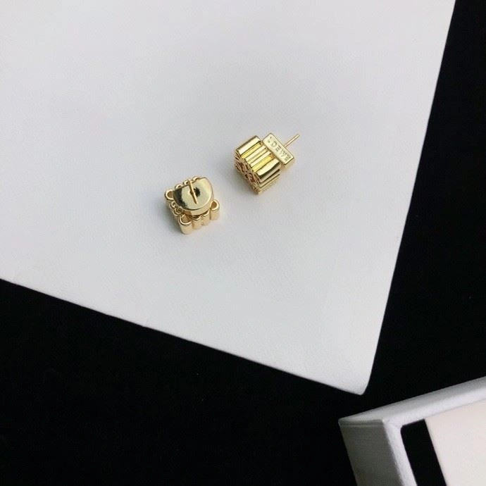 Official Loewe Earrings