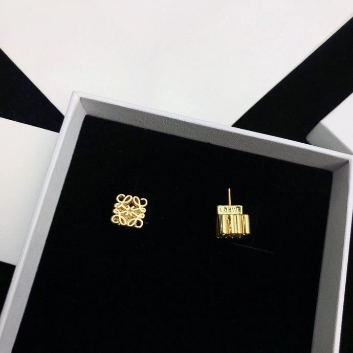Official Loewe Earrings