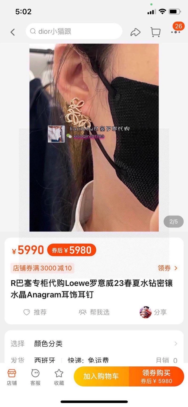 Authentic Loewe Earrings