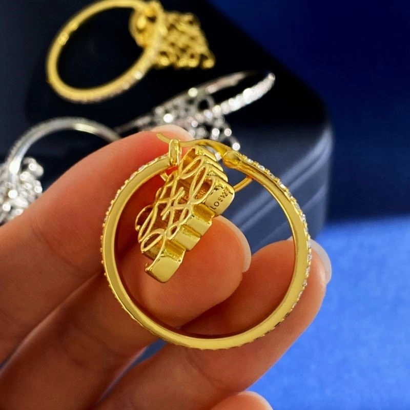 Value-priced Loewe Earrings
