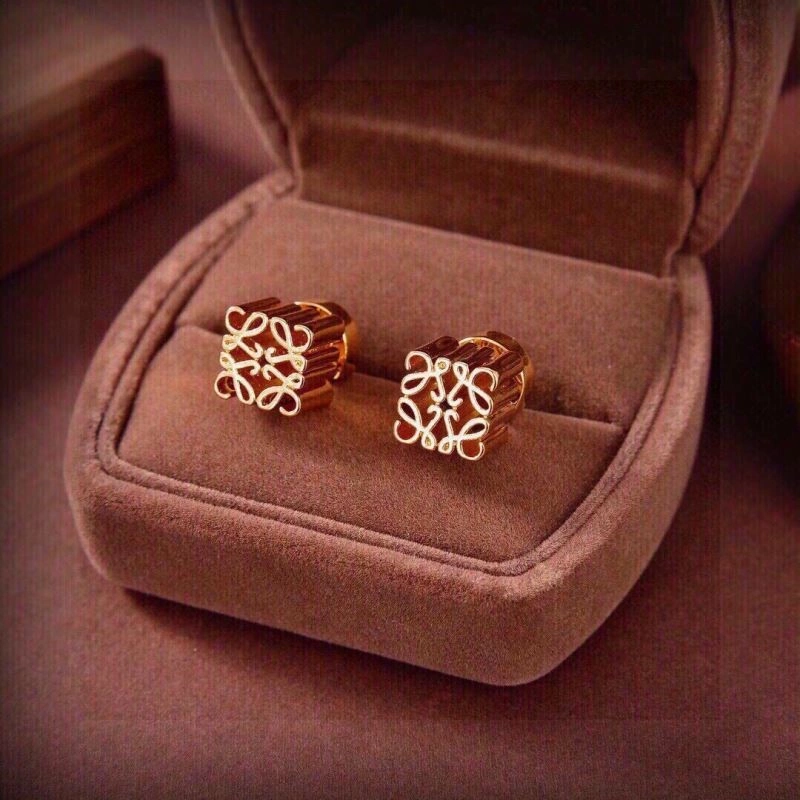 Mirror quality Loewe Earrings