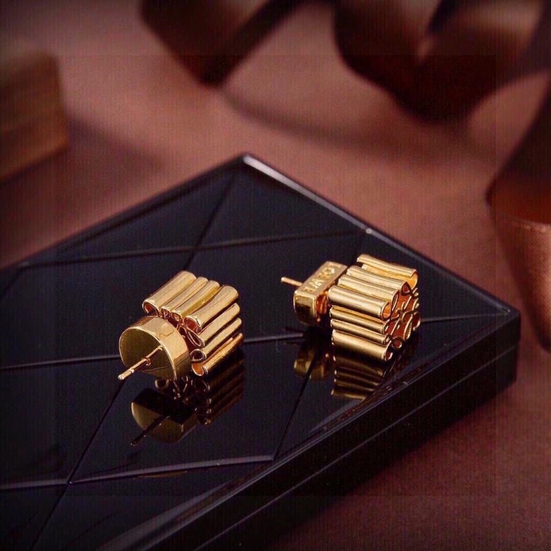 Mirror quality Loewe Earrings
