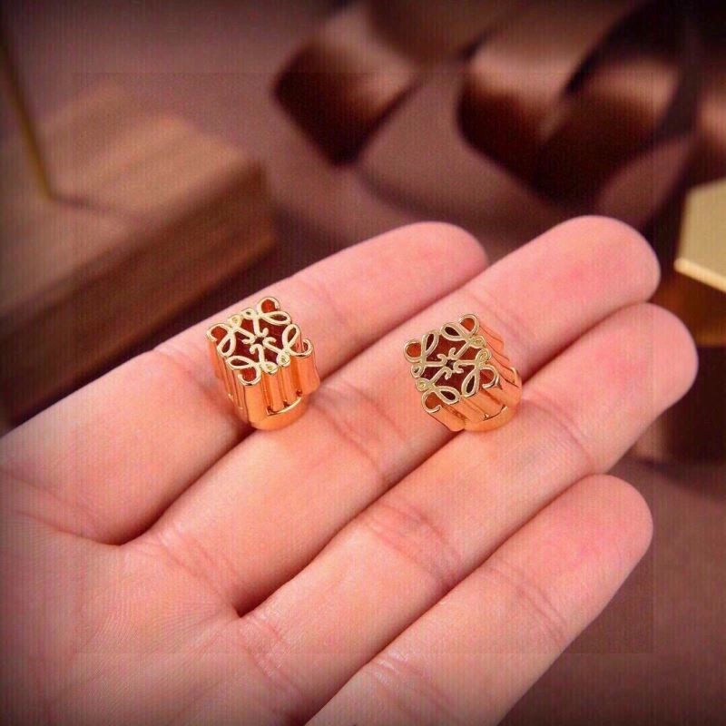 Mirror quality Loewe Earrings