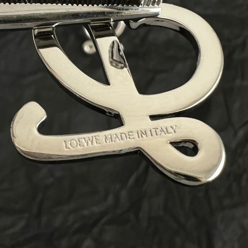 High accuracy Loewe Earrings