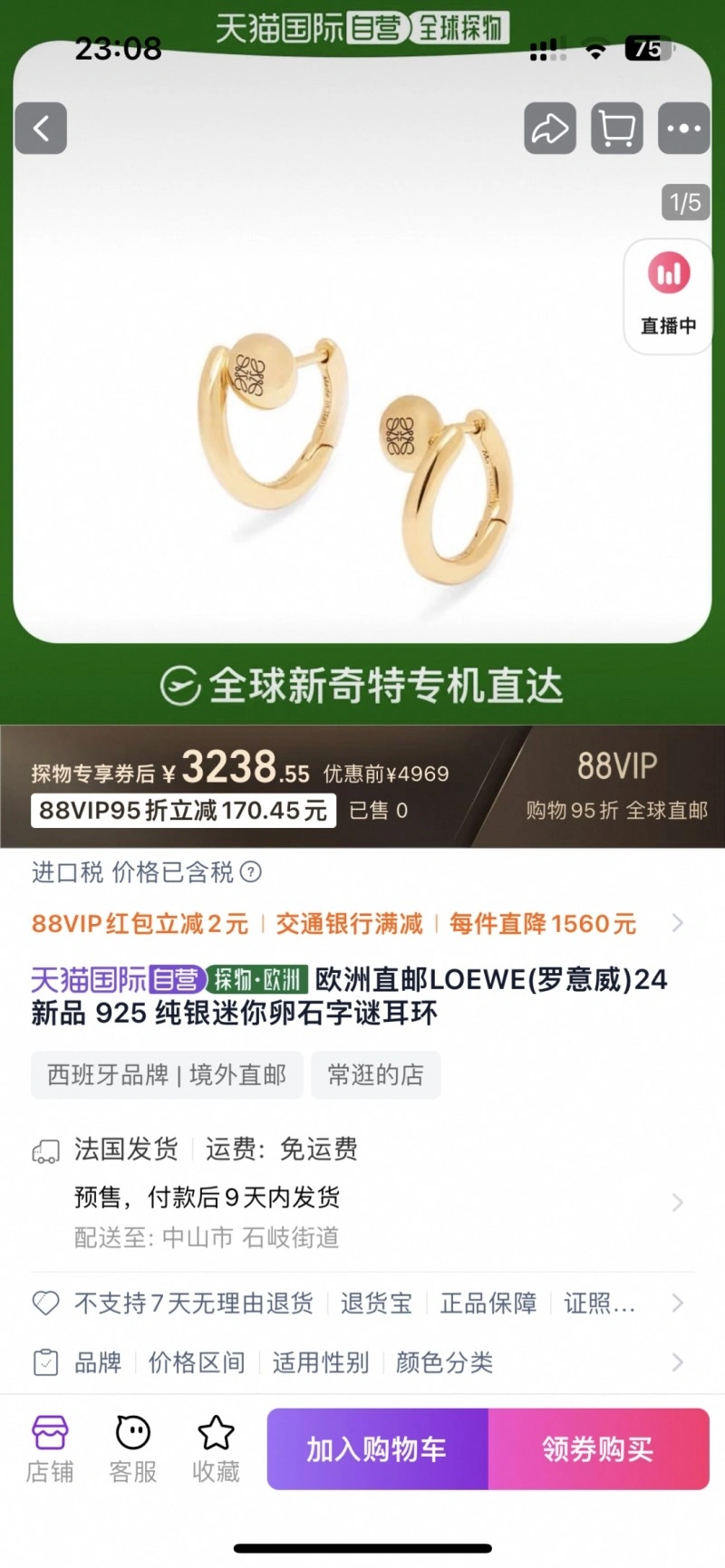 Loewe Earrings