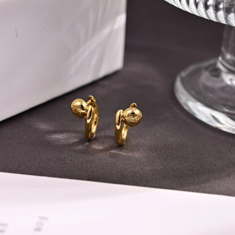Official Loewe Earrings