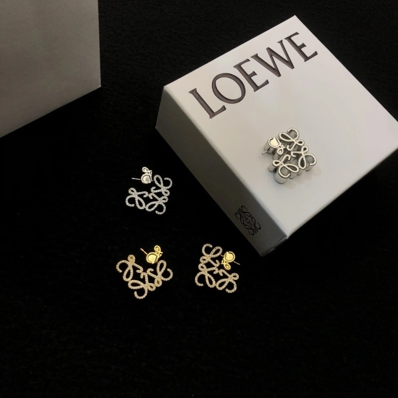 Indistinguishable Loewe Earrings