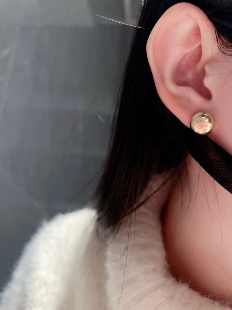 Reasonably priced Loewe Earrings