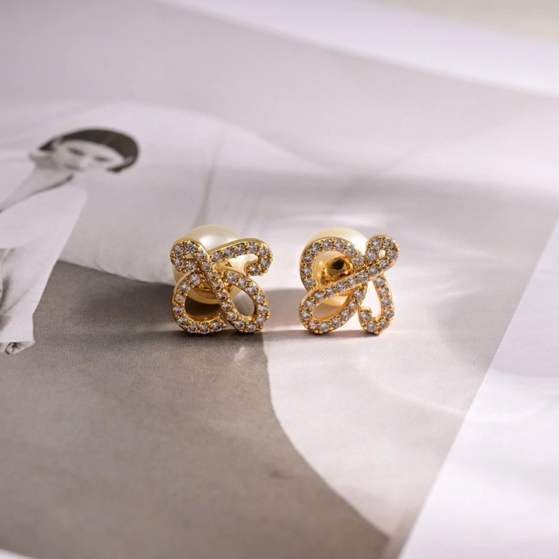 Indistinguishable Loewe Earrings