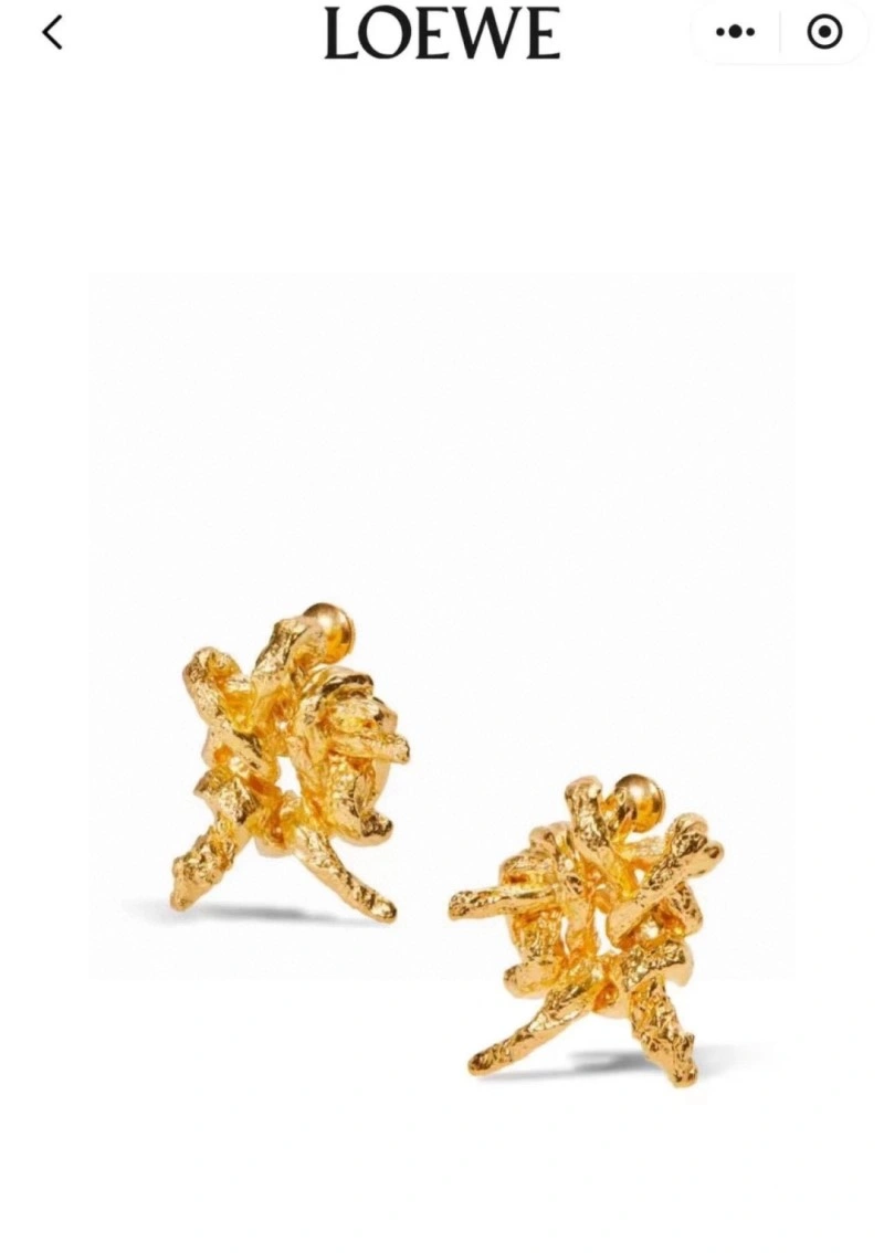 Brand-original Loewe Earrings