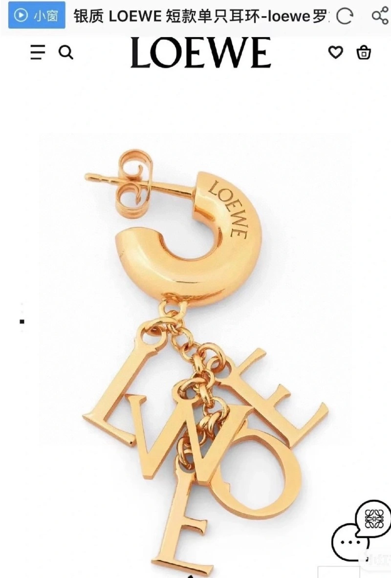 High fidelity Loewe Earrings