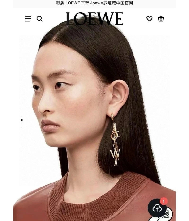 High fidelity Loewe Earrings