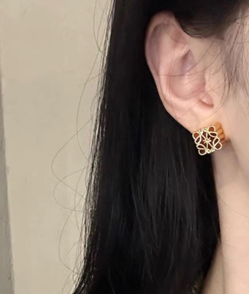 Factory-made Loewe Earrings