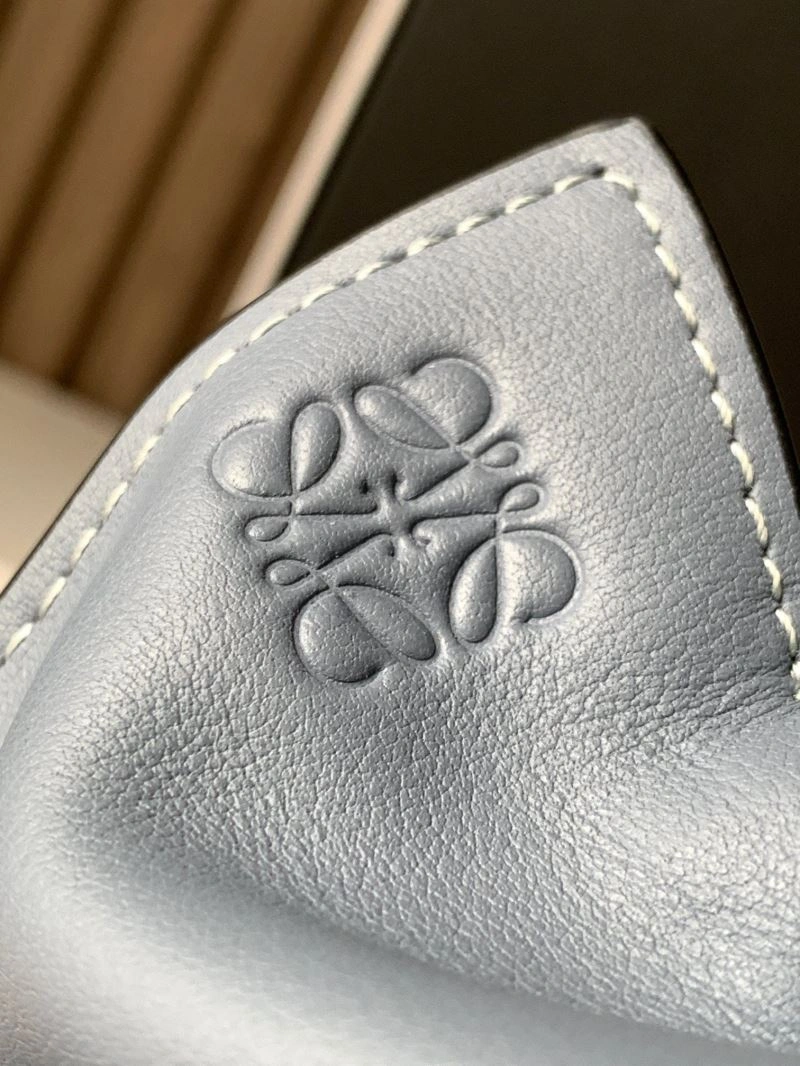 Top match Loewe Flamenco Bags