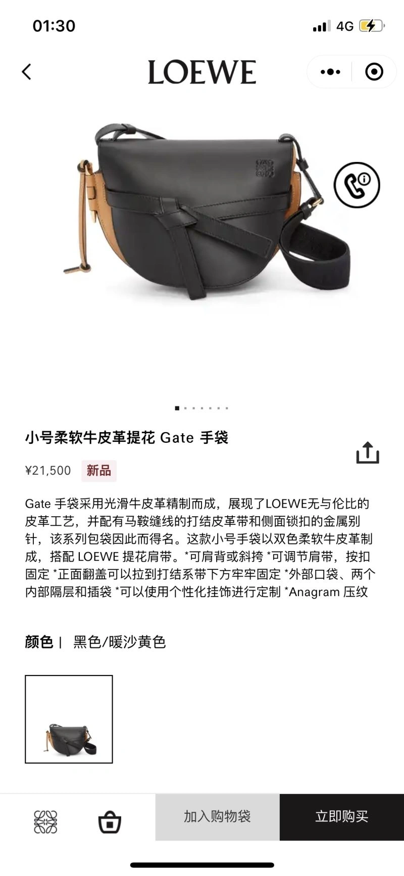 Top match Loewe Gate Bags