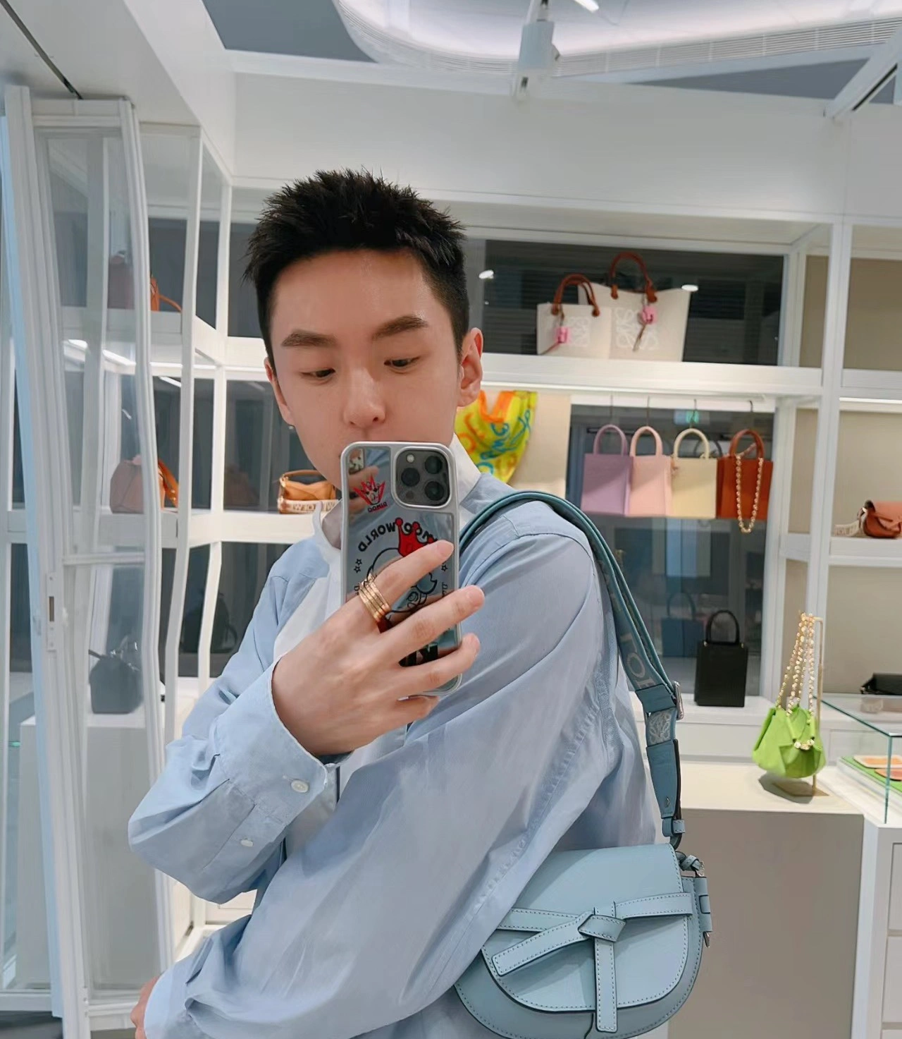 Legit Loewe Gate Bags