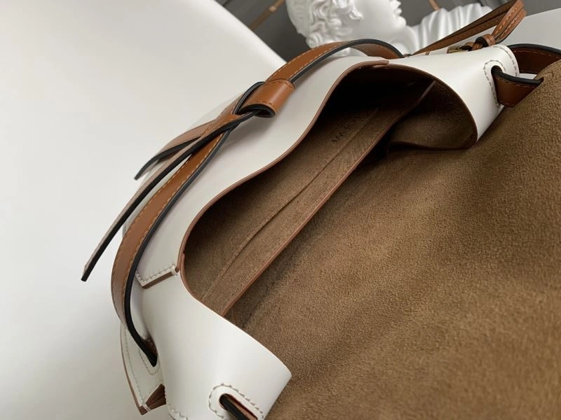 Real Loewe Gate Bags