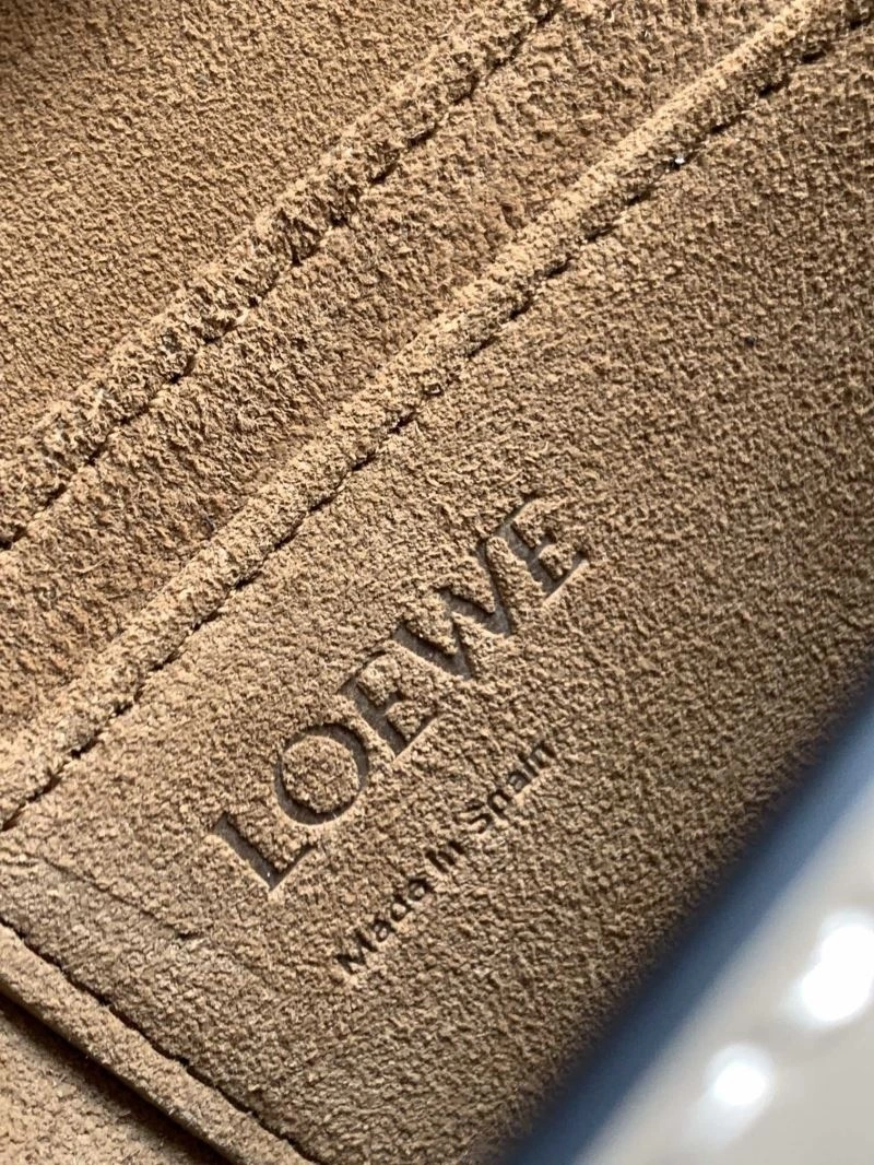 Top match Loewe Gate Bags