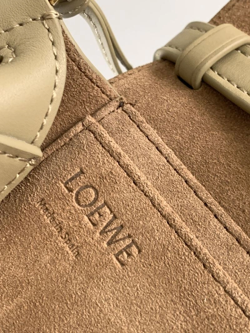 Real Loewe Gate Bags