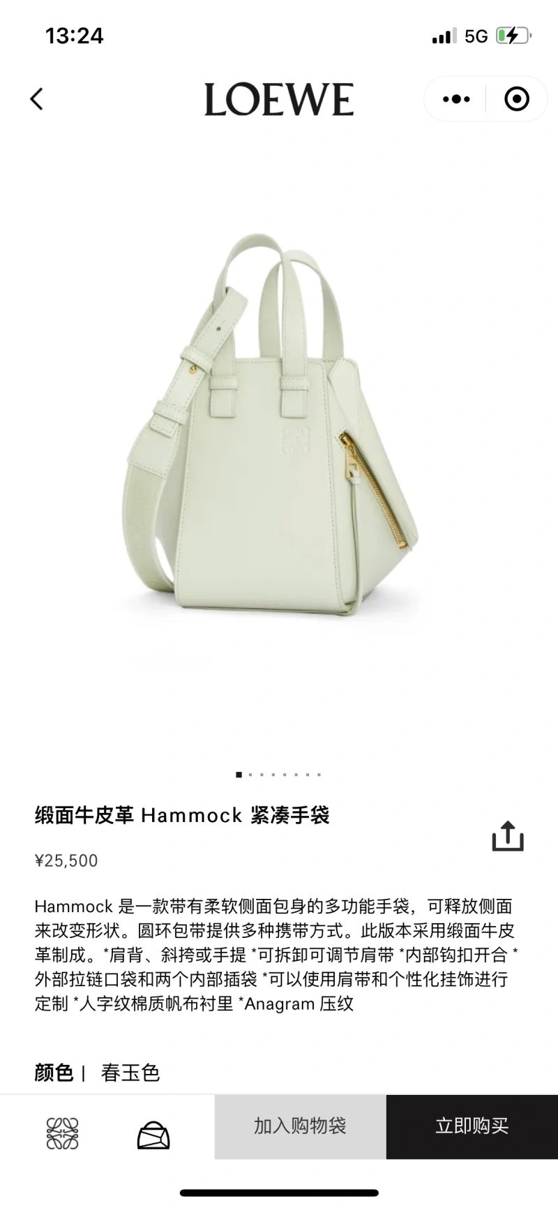 Original Loewe Hammock Bags