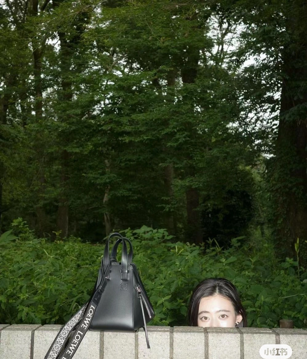 Value-priced Loewe Hammock Bags