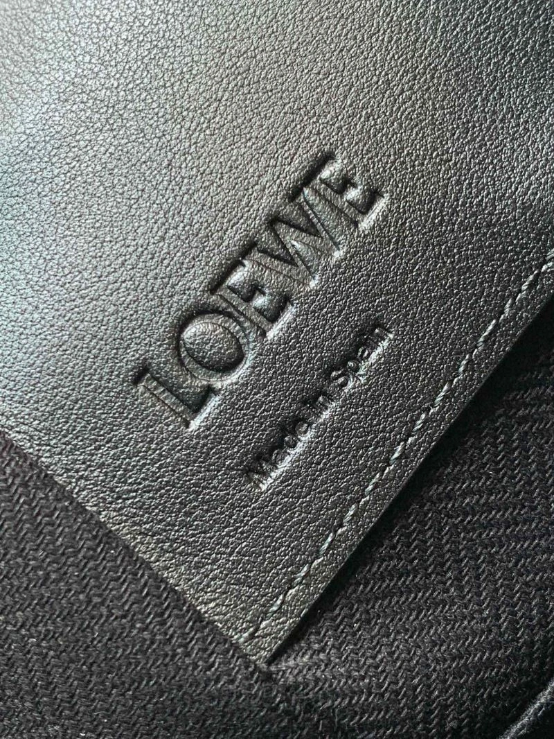 Indistinguishable Loewe Hammock Bags