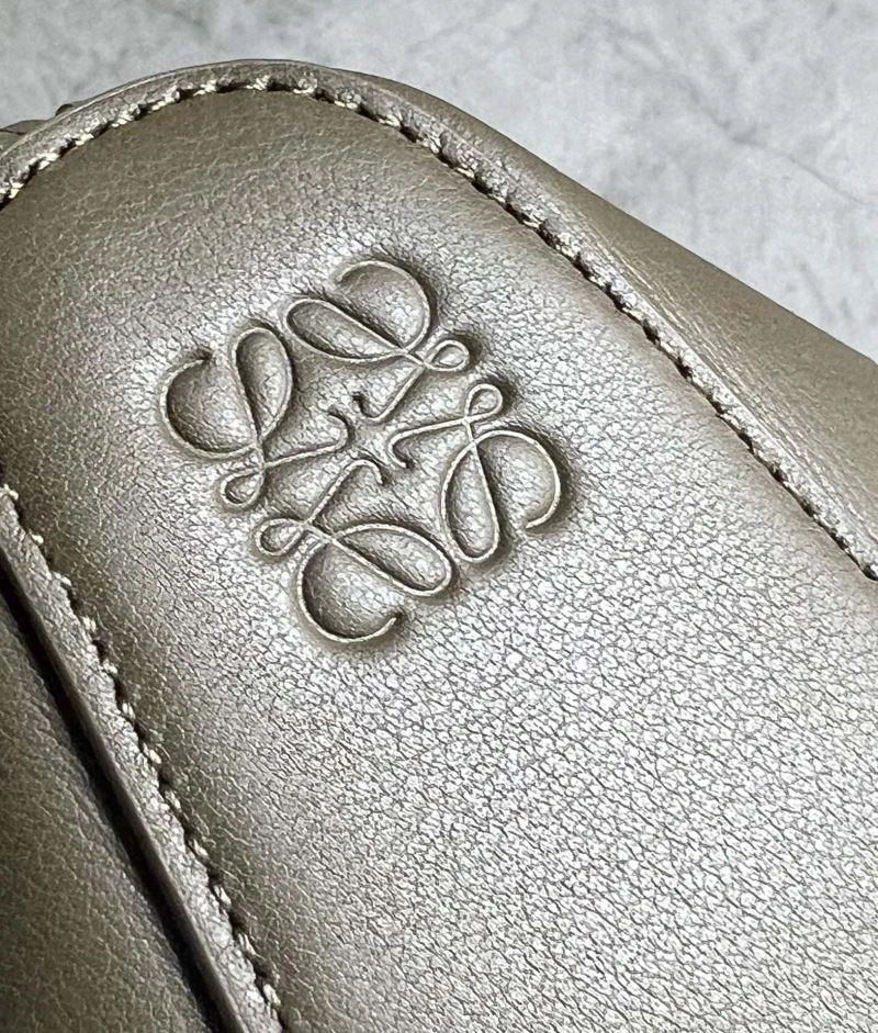 Indistinguishable Loewe Hobo Bags