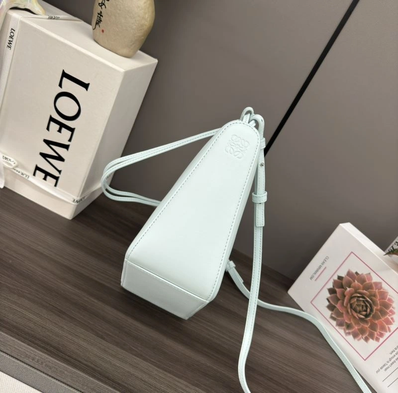 Economical Loewe Hobo Bags