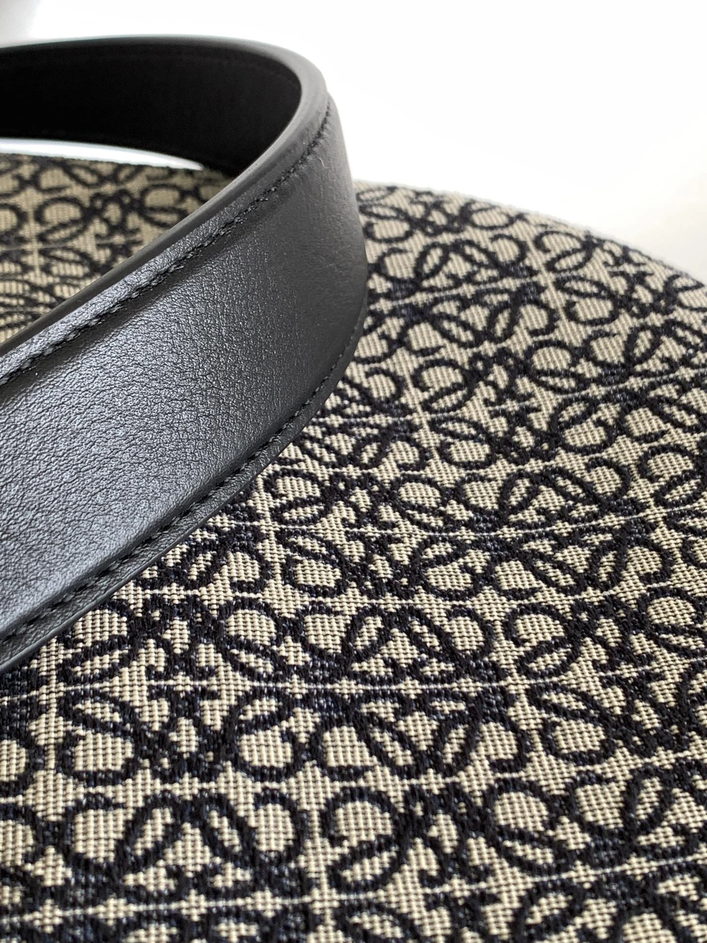 Top match Loewe Hobo Bags