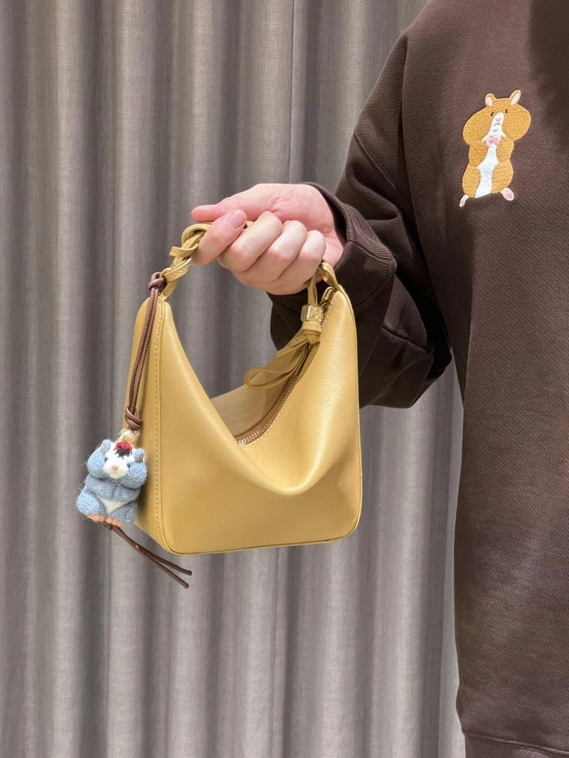 Legit Loewe Hobo Bags
