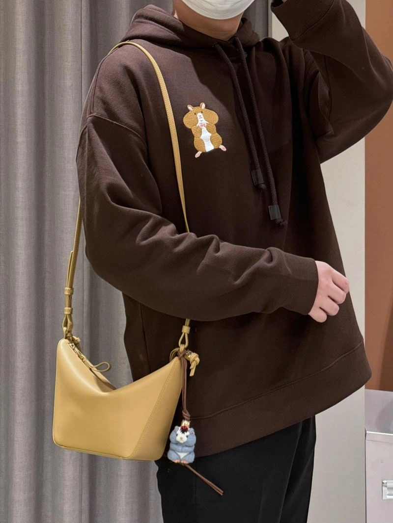 Legit Loewe Hobo Bags